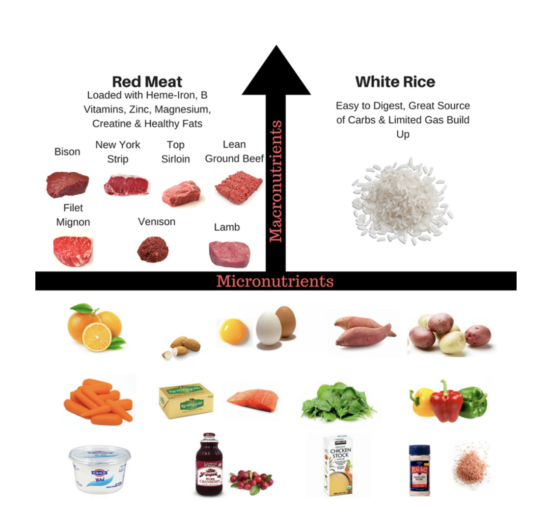 The Vertical Diet - Allied Performance